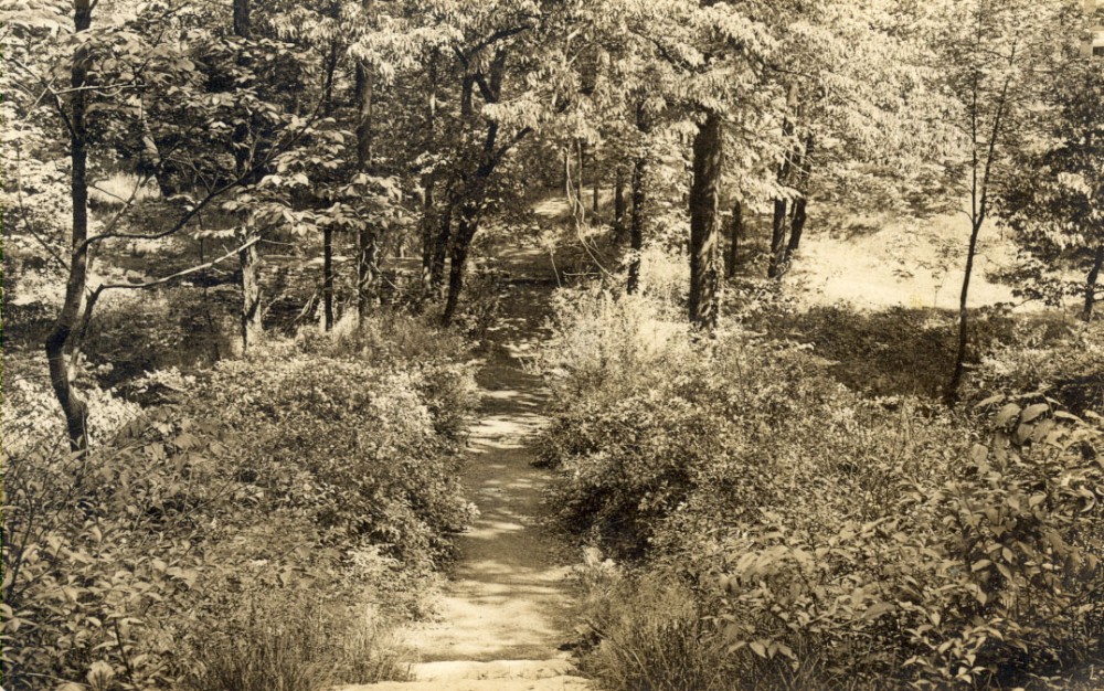 Burnet Woods – William Shakespeare