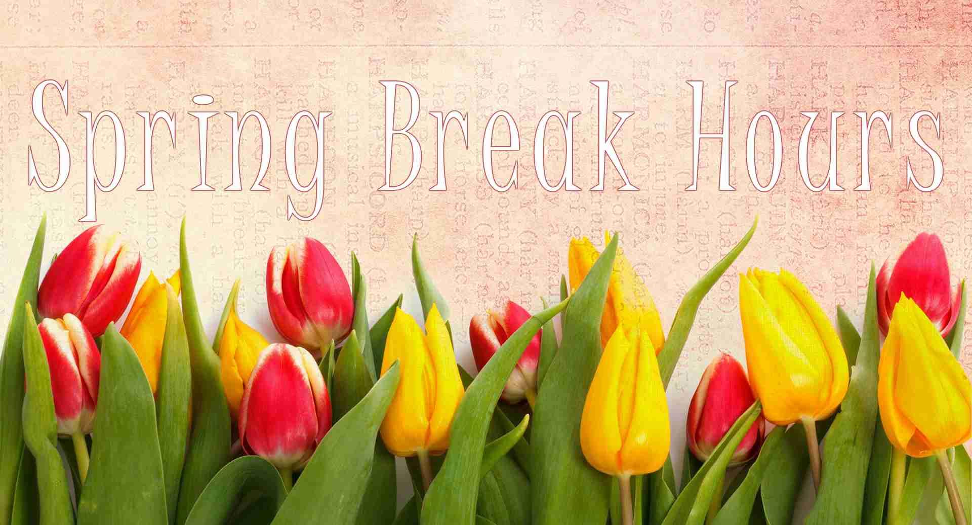 spring break | LiBlog