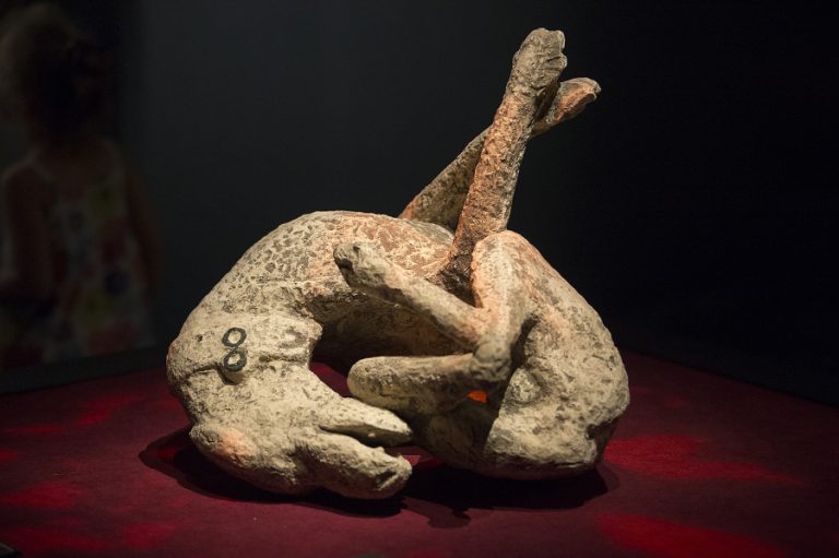 Animals in Antiquity: Virtual Exhibition (+ Physical Poster Exhibit at ...