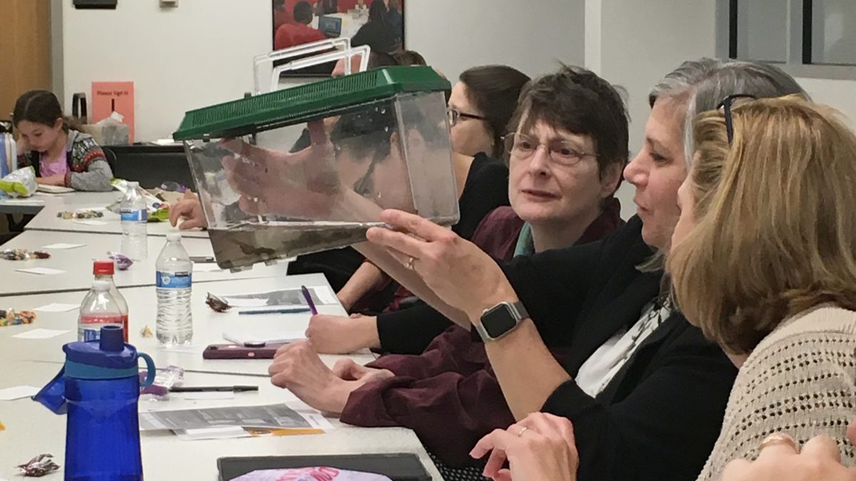 presentation | LiBlog