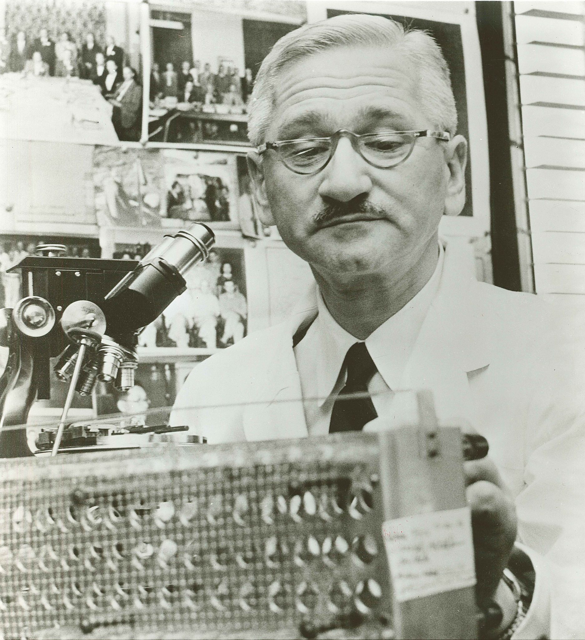 Highlighting Special Collections – Source