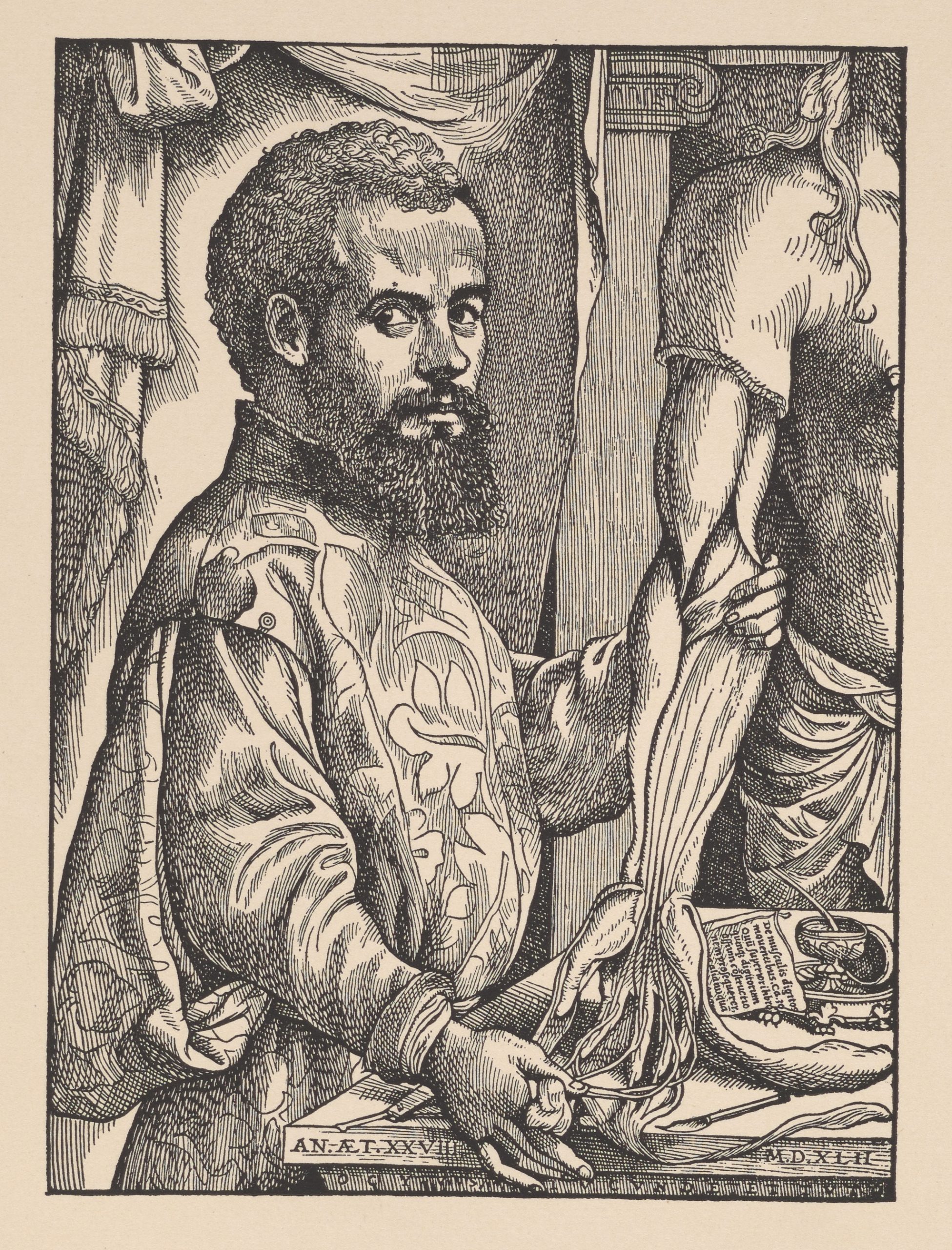 The Illustrated Human: The Impact of Andreas Vesalius